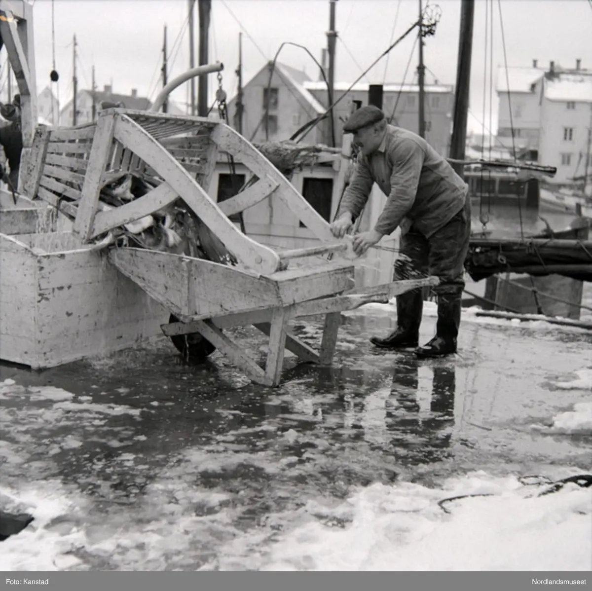 Fiskemottak; skylling av fisk - Nordlandsmuseet / DigitaltMuseum
