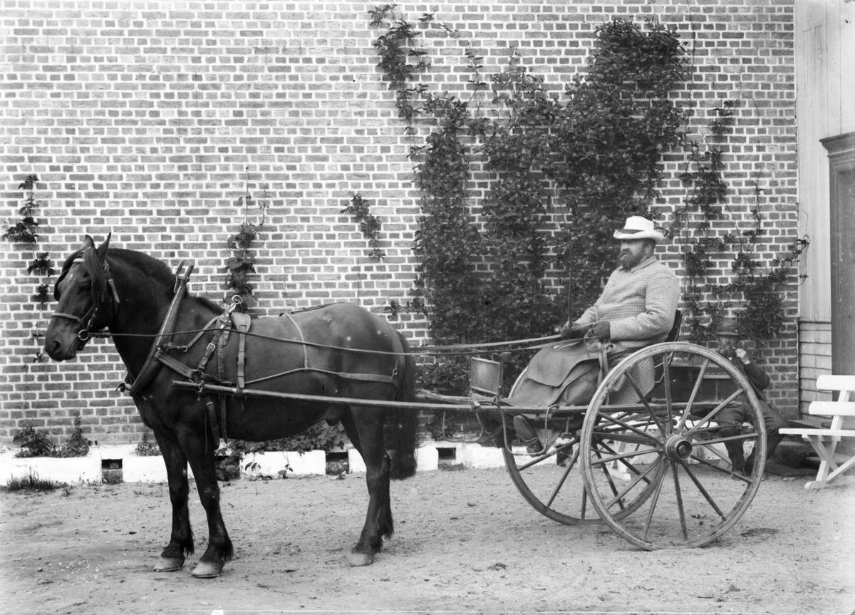 Kjøpmann Lundgaard med hest og karjol. - Maihaugen / DigitaltMuseum
