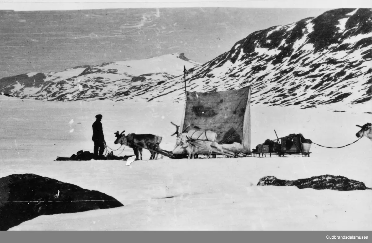 Sevald Grotli (f. 1901) transporterer anleggsmateriell til Vetldalen ...